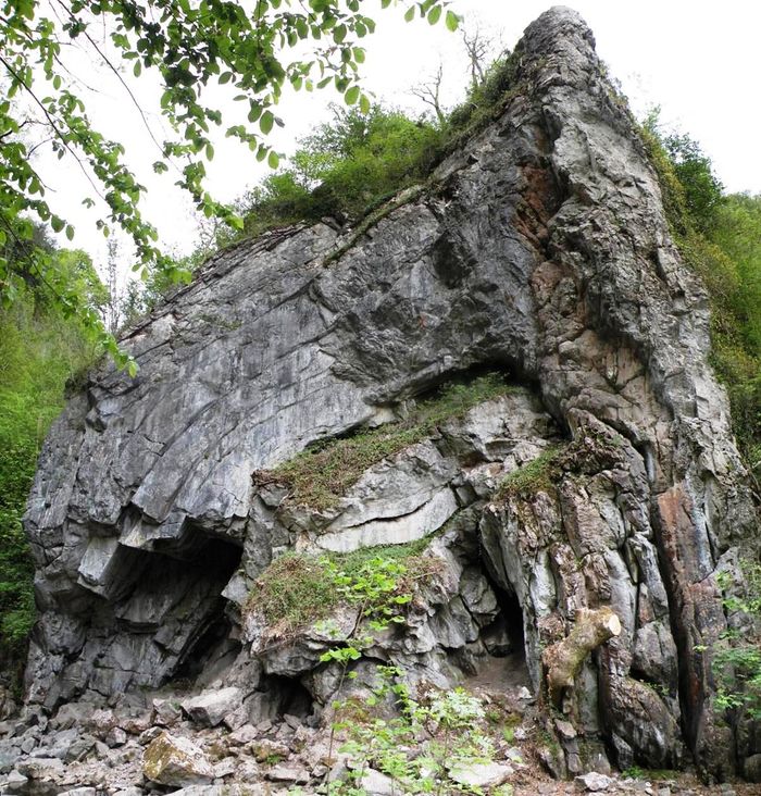 Dinas Rock - SWMC Wiki